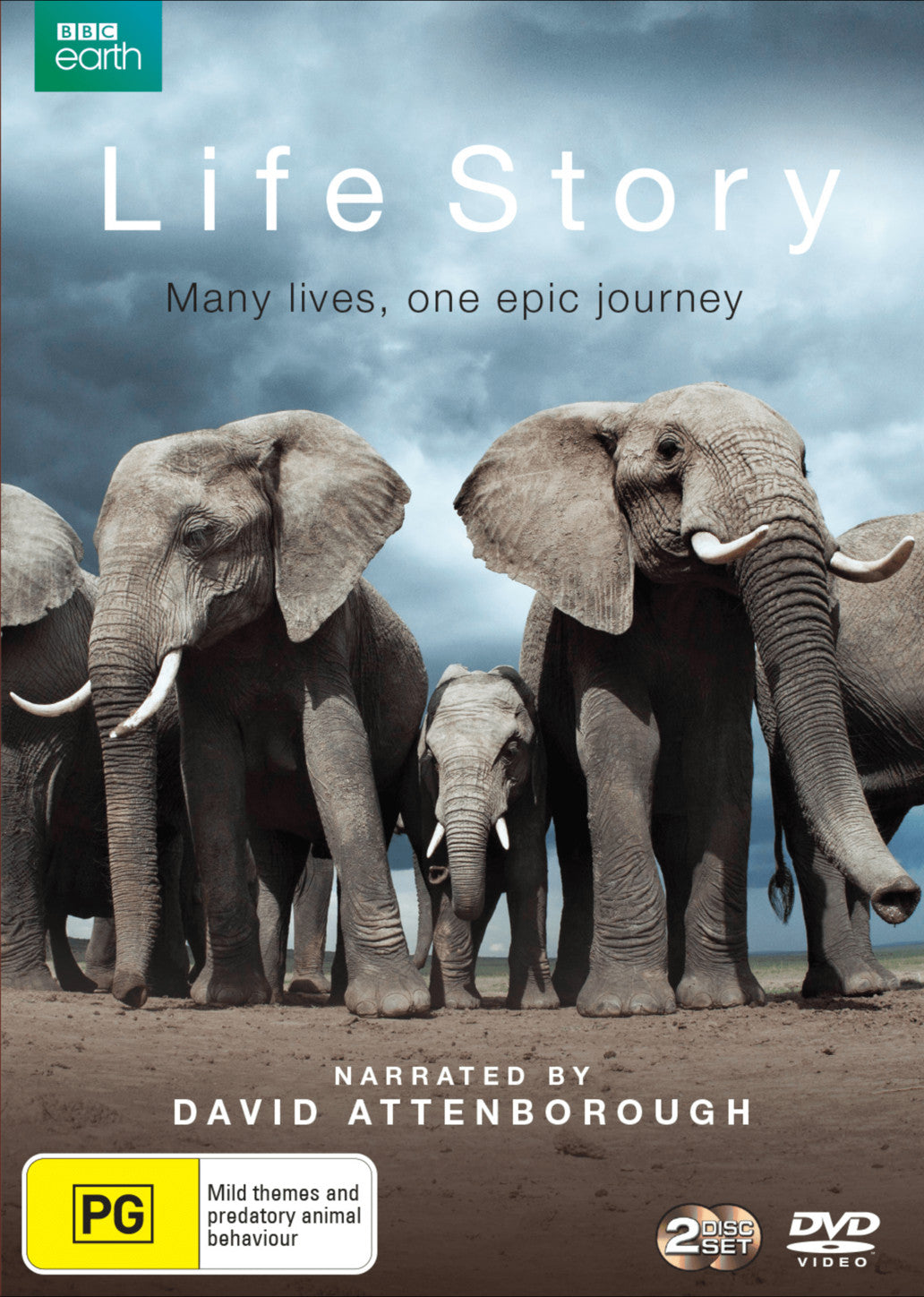 LIFE STORY – Madman